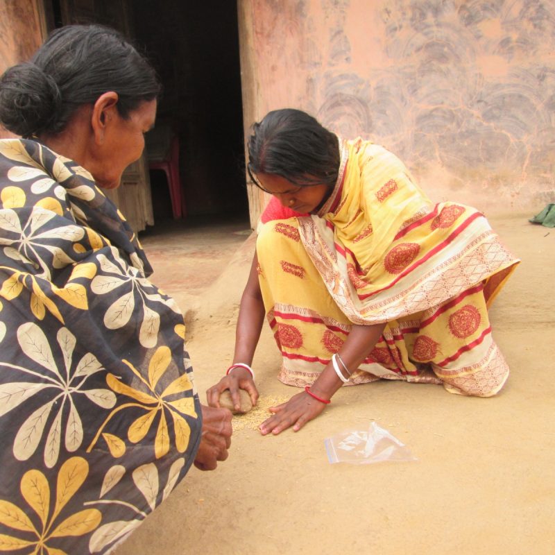 The Nutrients Beneath Our Feet: Understanding the Soil-Human Health ...