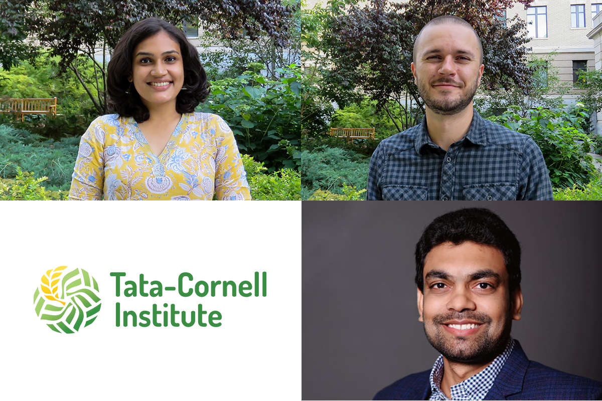 TCI Welcomes Newest Scholars - TCI