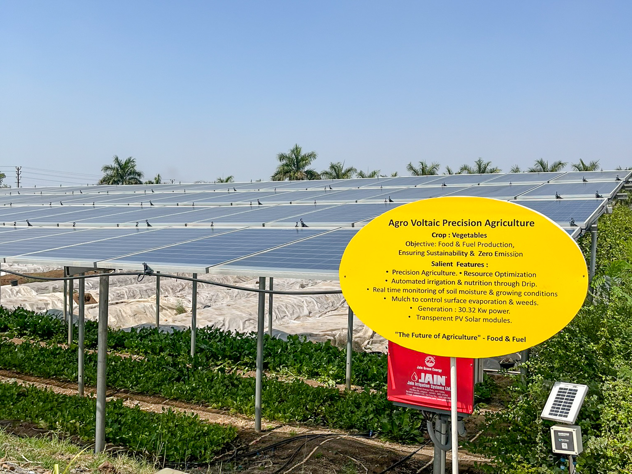 Zero-Hunger, Zero-Carbon Food Systems - TCI