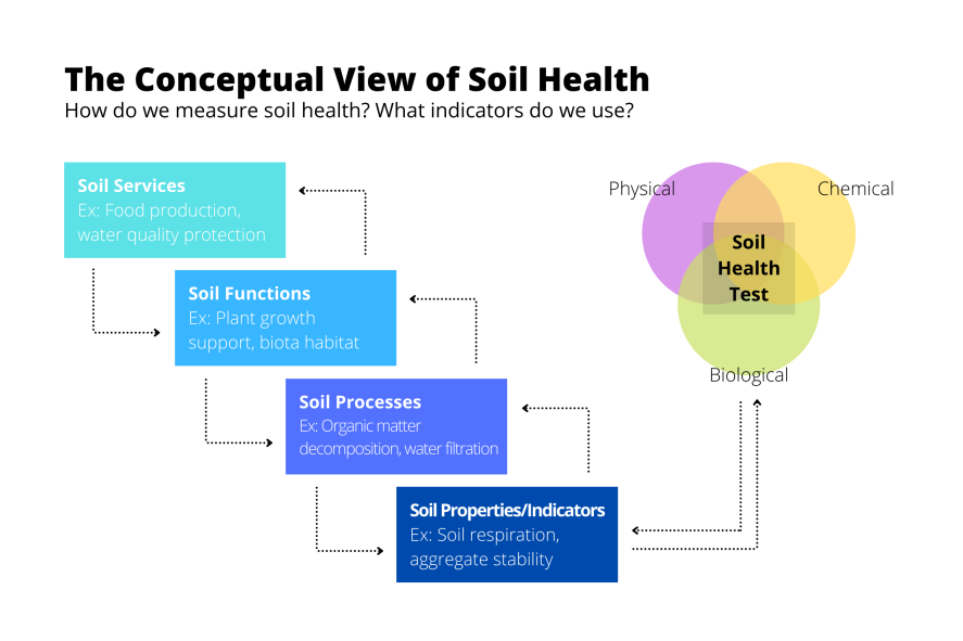 Soil Health: What You Should Know - TCI