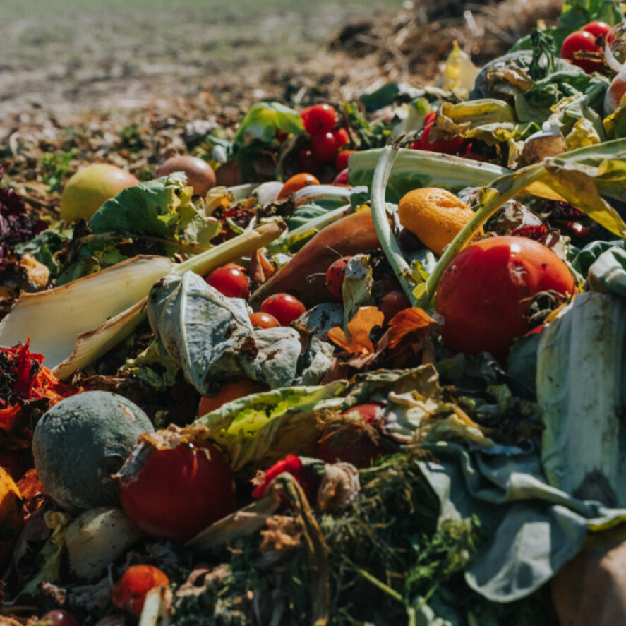 Food Loss and Waste - TCI