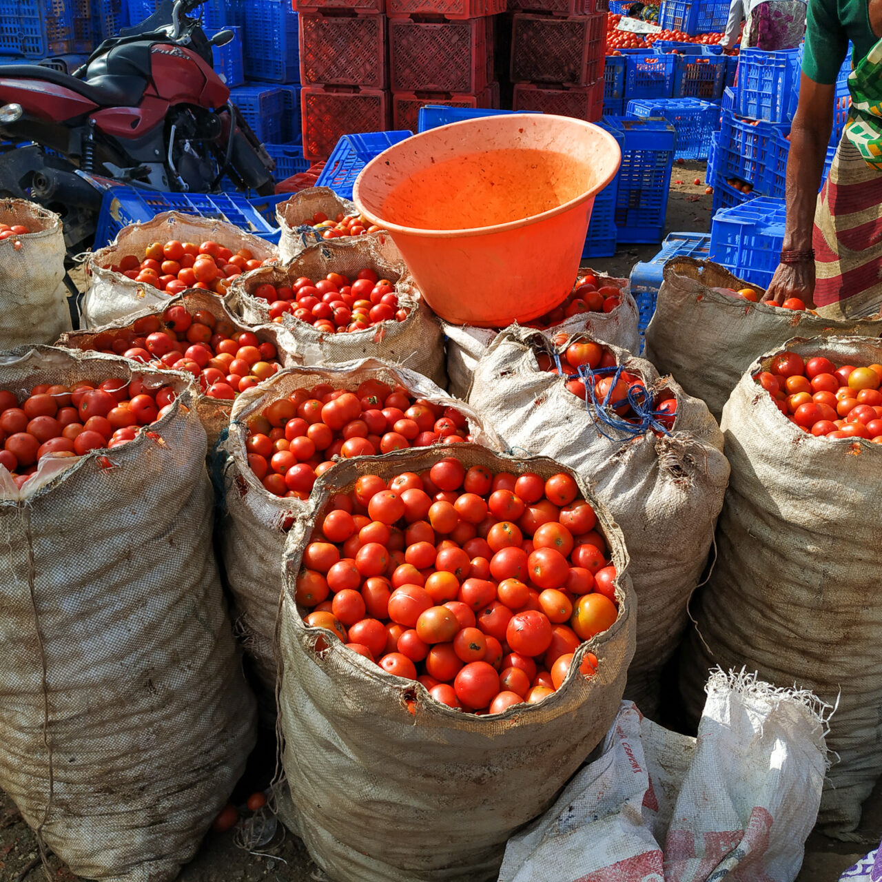Food Loss and Waste - TCI