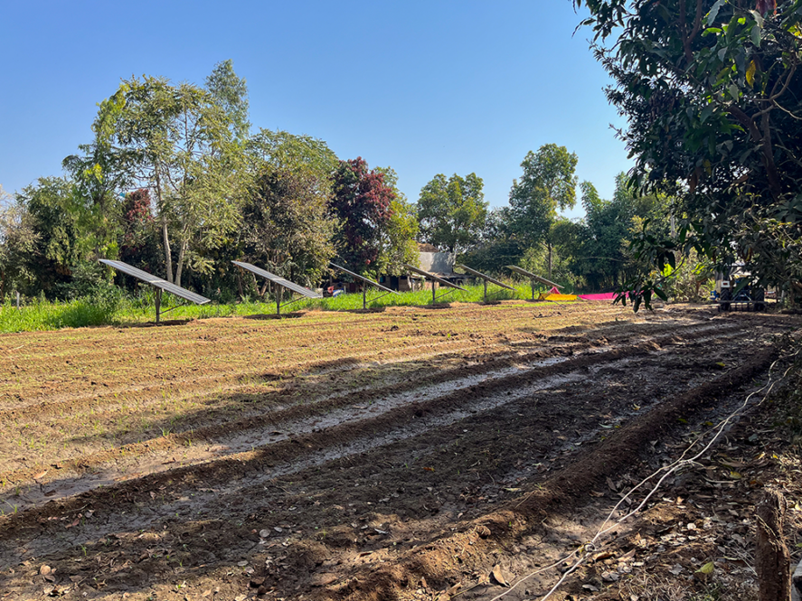 Can Agrivoltaics Help Achieve Zero-Hunger, Zero-Carbon Food Systems? - TCI